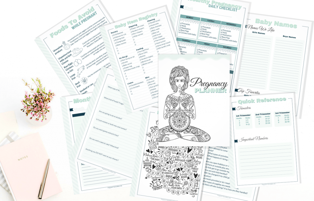 9 Birth Plan Templates and Generators: This is Game Changing